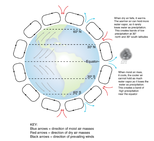 Biomes ‹ OpenCurriculum