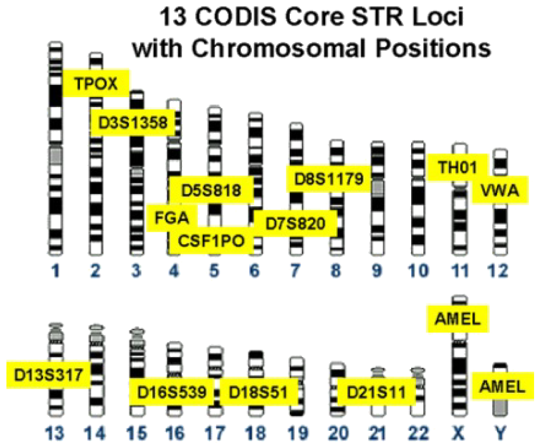 Biotechnology ‹ OpenCurriculum