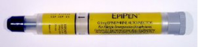 The Endocrine System ‹ OpenCurriculum