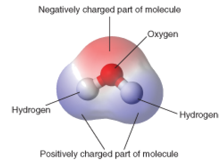 Water ‹ OpenCurriculum