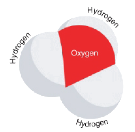 Water ‹ OpenCurriculum