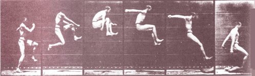 Conservation of Angular Momentum ‹ OpenCurriculum