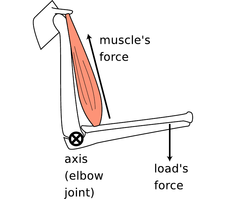 Conservation of Angular Momentum ‹ OpenCurriculum