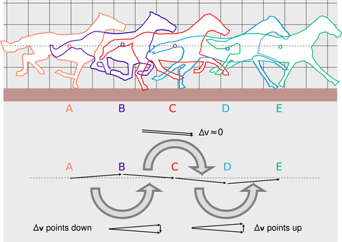 Vectors and Motion ‹ OpenCurriculum