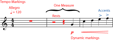 The Staff ‹ OpenCurriculum