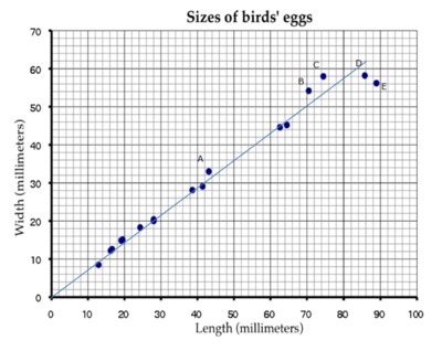 8.SP Birds' Eggs ‹ OpenCurriculum